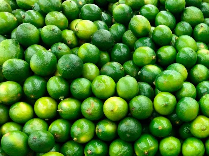 Por qué se disparó el precio del limón en México – Cafe Negro Portal