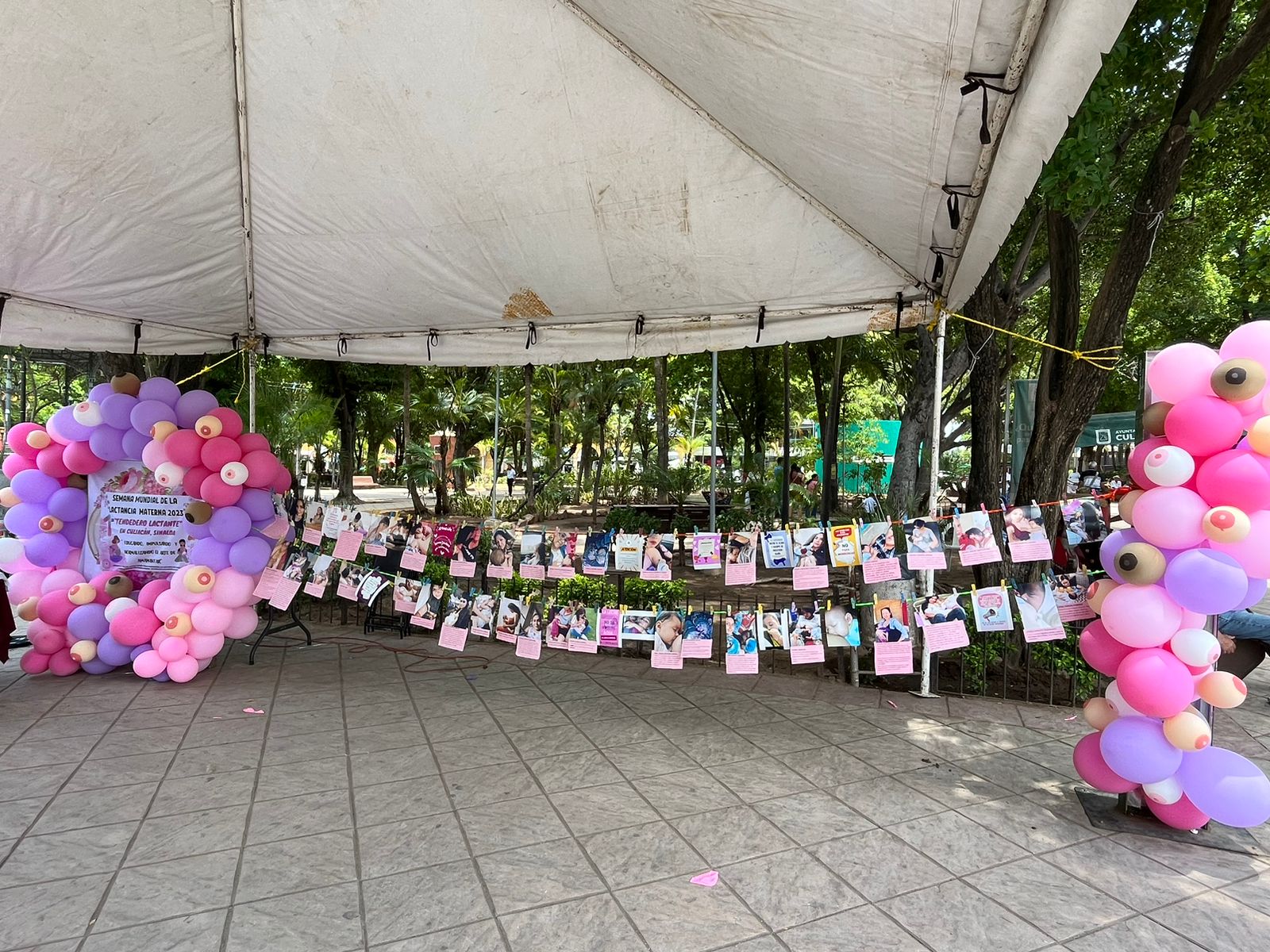 Buscan concientizar sobre la importancia de la lactancia materna en ...